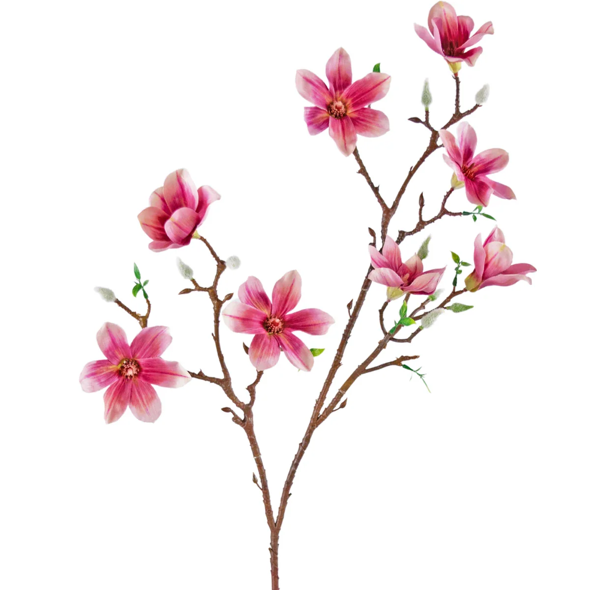 Køb en kunstig magnolia til en god pris fra ambiplants.dk – Ambiplants ...